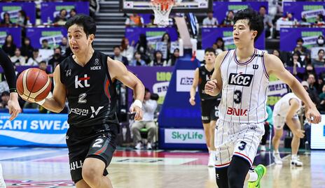 허씨 형제 한솥밥 먹는다… ‘FA 최대어’ 허훈, 친형 허웅 있는 KCC로 - 조선비즈