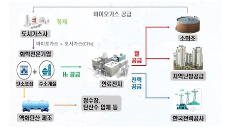 Ministry of Climate, Energy and Environment plans bio‑gas supply ...