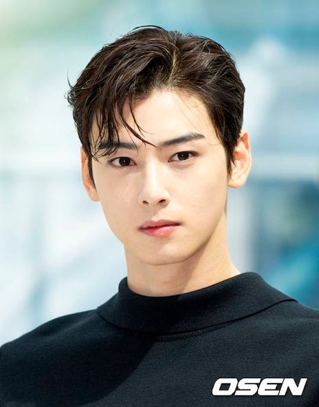 Cha Eun-woo denies real estate link as agency separates Cheongdam ...