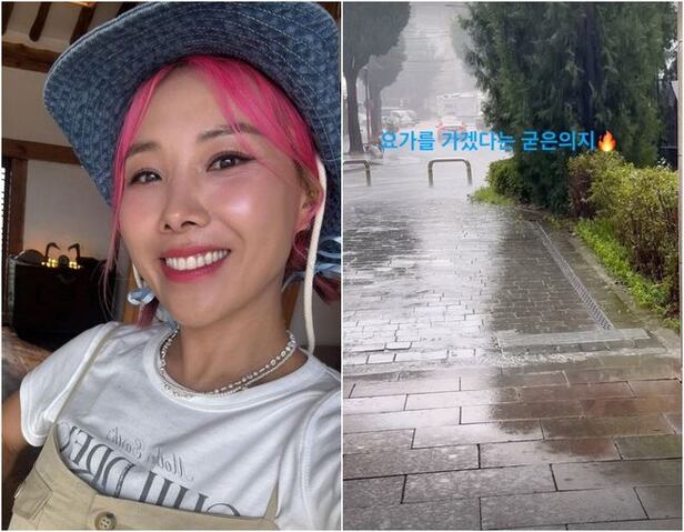 '11.5kg ↓' 신봉선, 폭우에도 "요가 가겠다는 굳은 의지"..다이어터 일상 [Oh!쎈 포인트] - 조선비즈