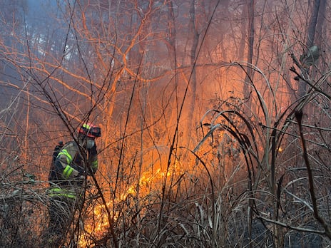 Uiseong wildfire contained in three hours as crews mop up overnight ...