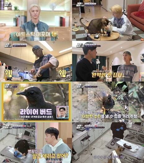 NCT Ten earns praise as best caretaker on KBS' 'Animals Are Wonderful ...