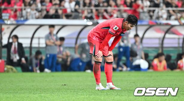 AFC도 인지한 서울월드컵경기장 잔디 상태...KFA에 '잔디 개선 방안 or 대안 마련' 공문 전달 - 조선비즈