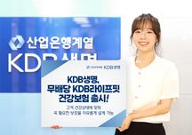 KDB생명, KDB라이프핏건강보험 출시… 생활비·간병까지 지원 - 조선비즈