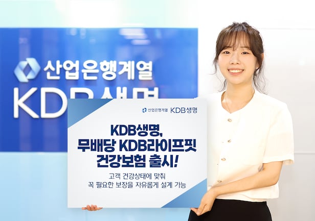 KDB생명, KDB라이프핏건강보험 출시… 생활비·간병까지 지원 - 조선비즈