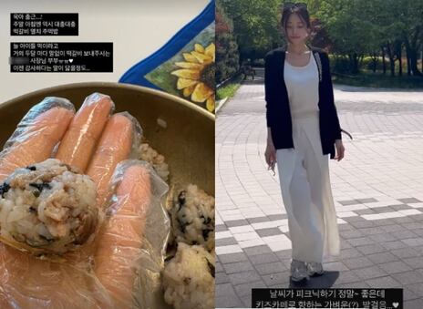 Seo Ha-yan balances parenting duties and new business while raising ...