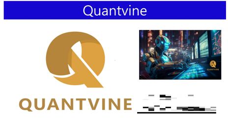 Quantvine disappears amid Ponzi scheme allegations, leaving thousands as victims - CHOSUNBIZ